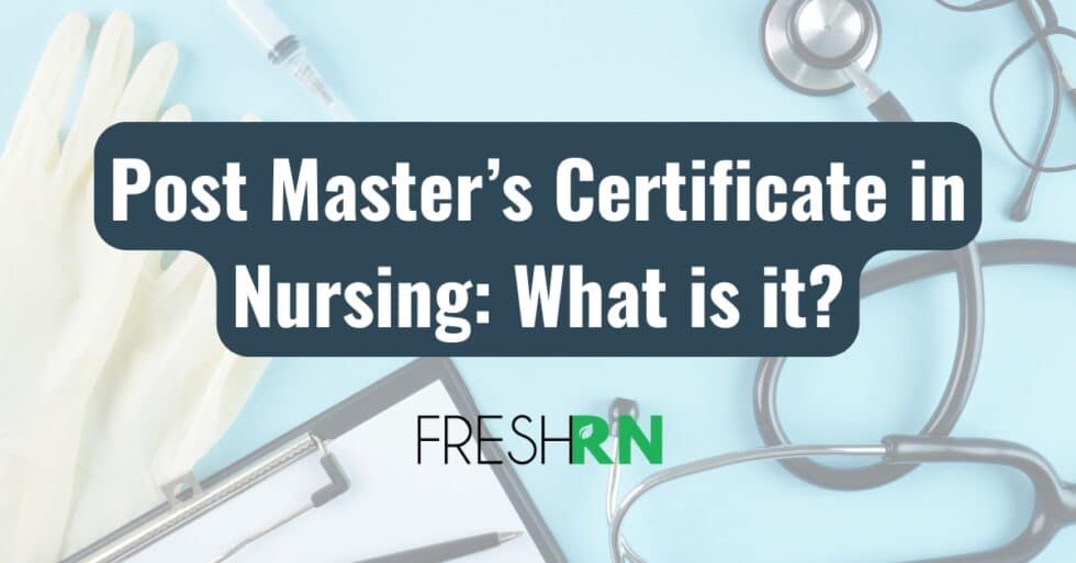 The Ultimate Guide to Online Nursing Degree Programs: Flexible Options ...